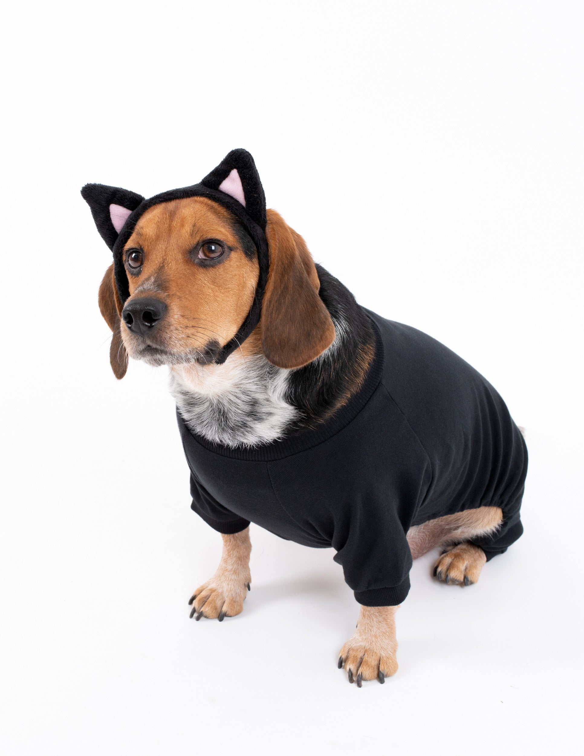 Midnight Comfort: Black Dog Pajamas by Leveret – Leveret Clothing