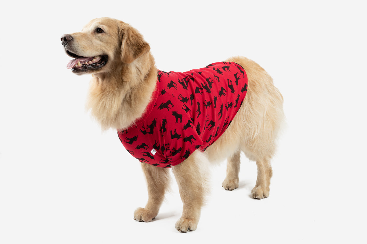 Big Dog Animal Print Pajamas – Leveret Clothing