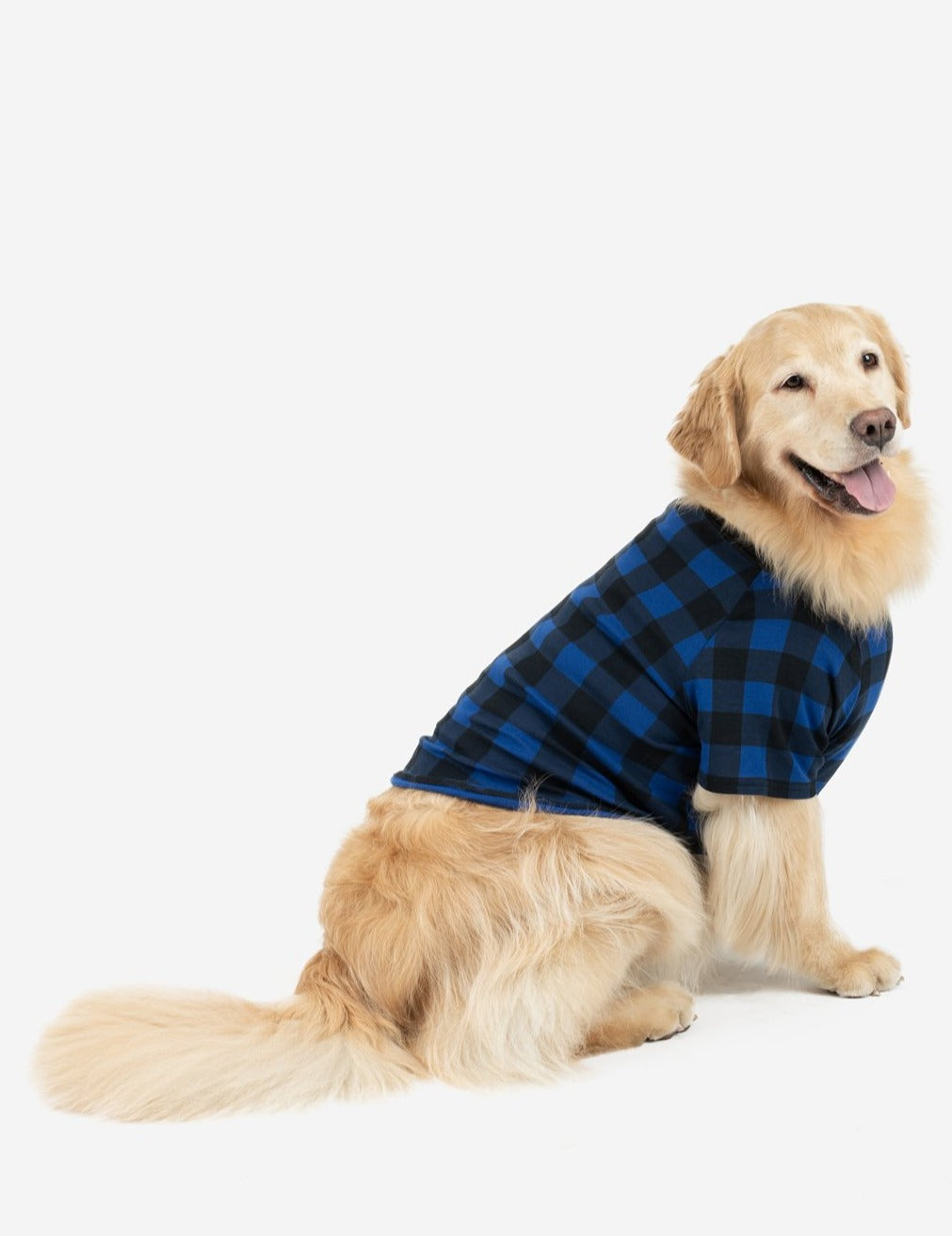Big Dog Plaid Pajamas – Leveret Clothing