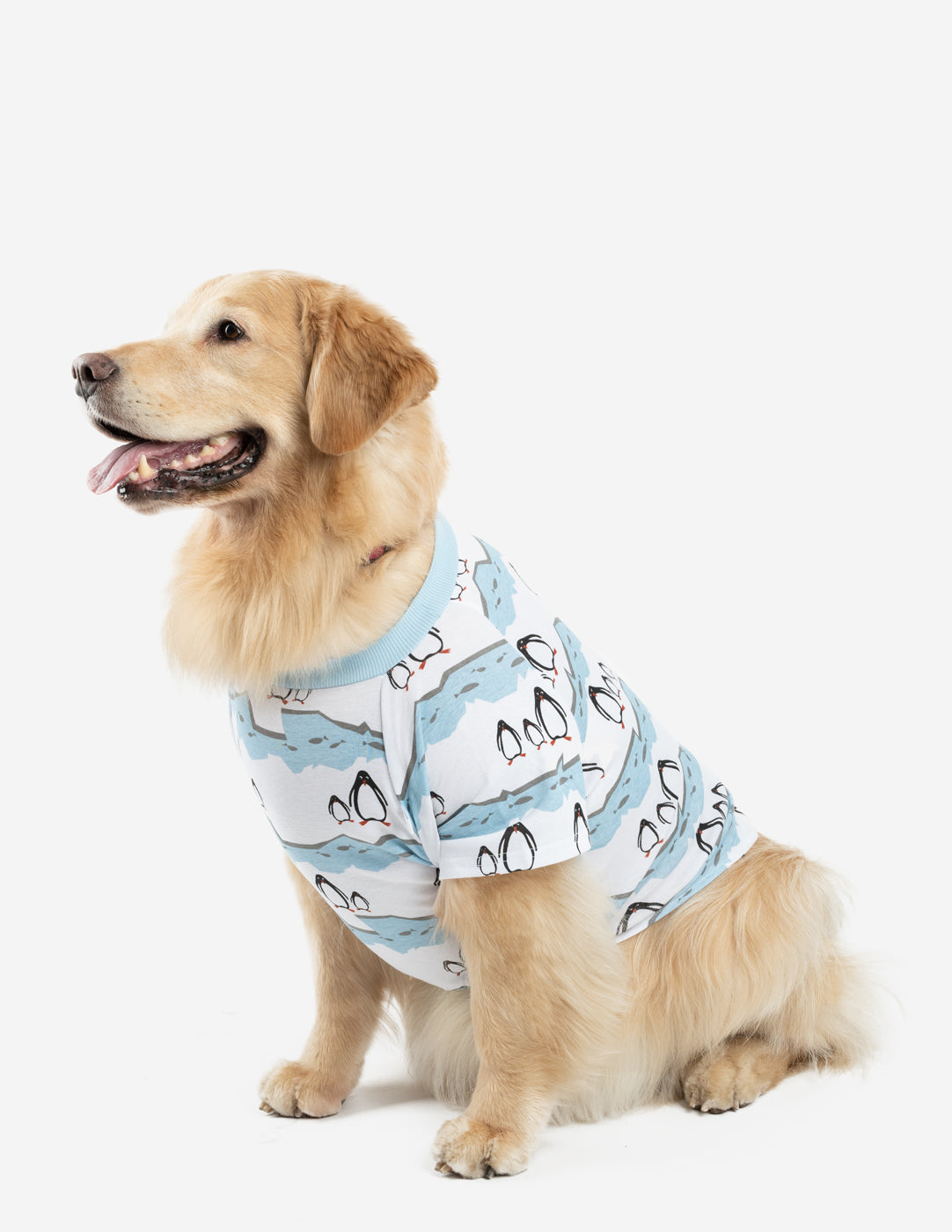 Big Dog Animal Print Pajamas – Leveret Clothing