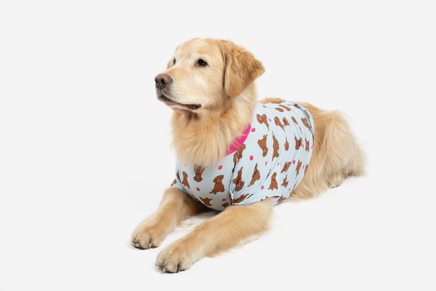 Big Dog Animal Print Pajamas – Leveret Clothing