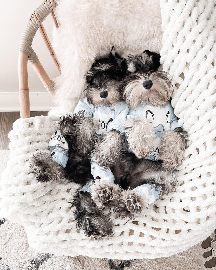 Leveret Dog Print Pajamas – Leveret Clothing