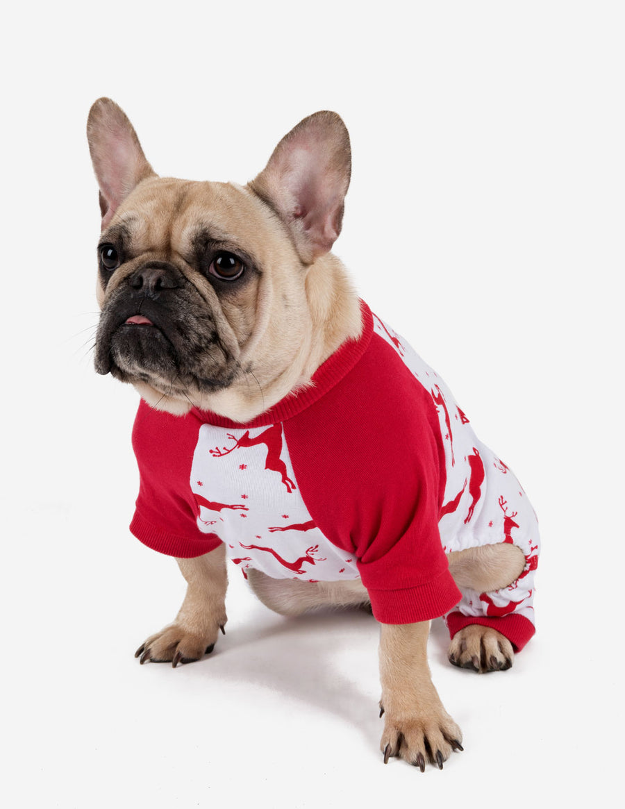 Leveret Dog Print Pajamas – Leveret Clothing