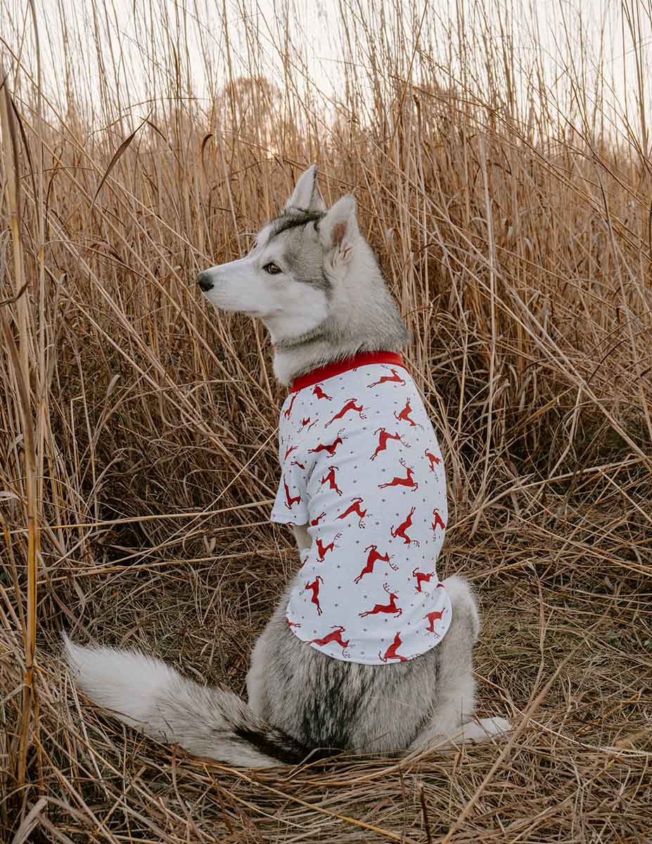 Big Dog Animal Print Pajamas – Leveret Clothing